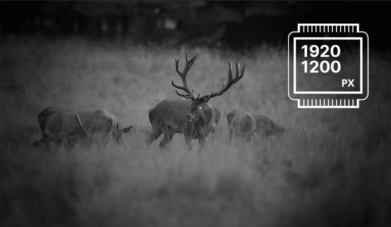 Pulsar Merger Duo NXP50 Multispectral Thermal Binoculars • Blackwood ...