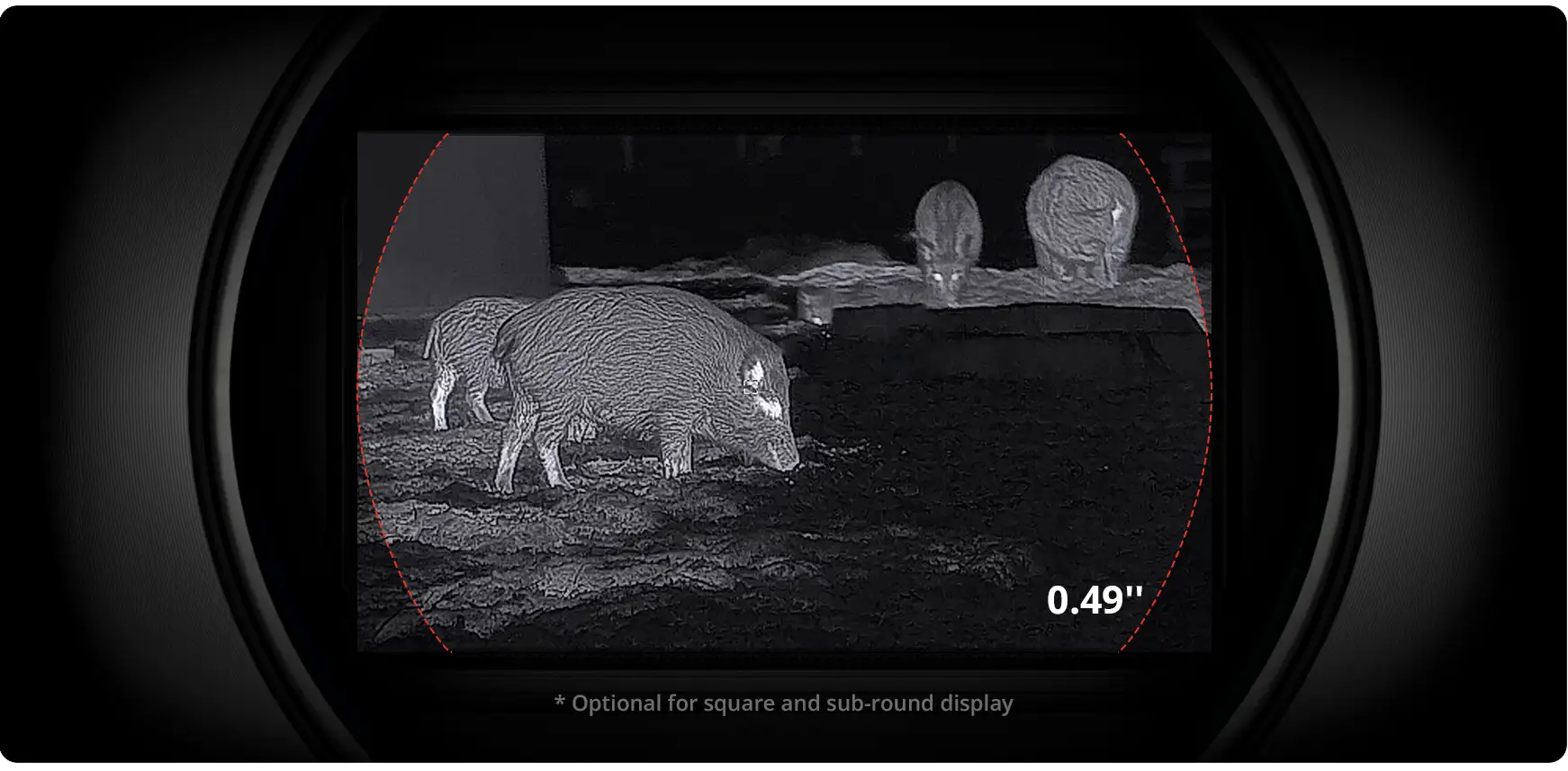 HikMicro Falcon FQ50L 2.0 Thermal Monocular • Blackwood Outdoors