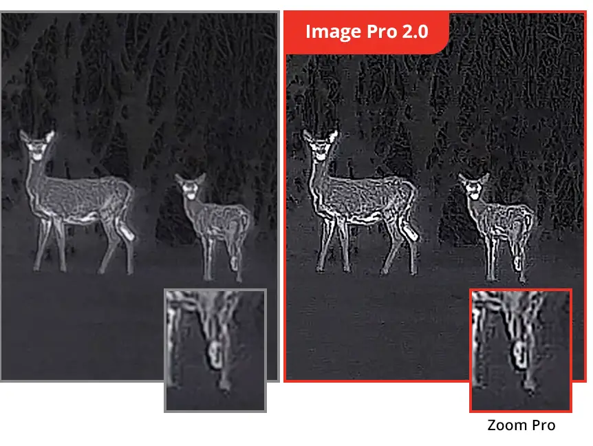 HikMicro Falcon FQ50L 2.0 Thermal Monocular • Blackwood Outdoors