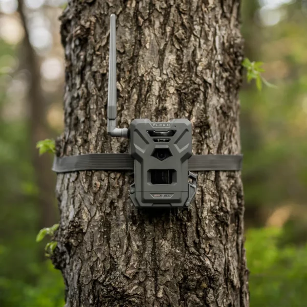Spypoint Flex M Trail Camera - Cellular Model • Blackwood Outdoors